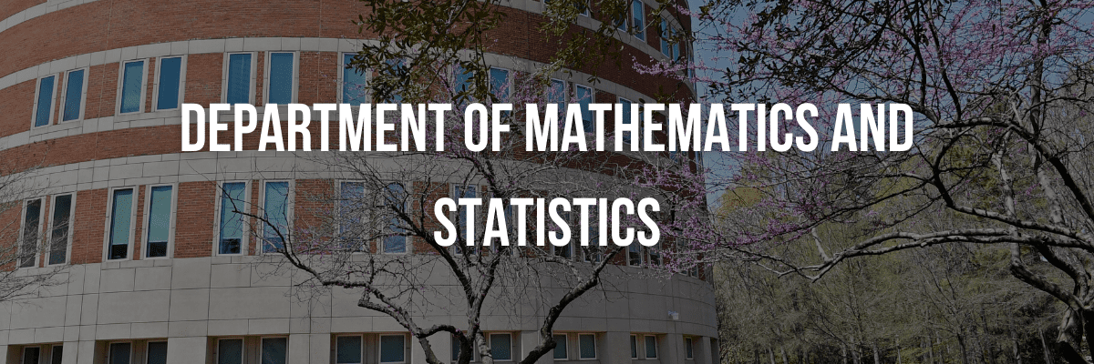 Department of Mathematics and Statistics - Department of Mathematics ...